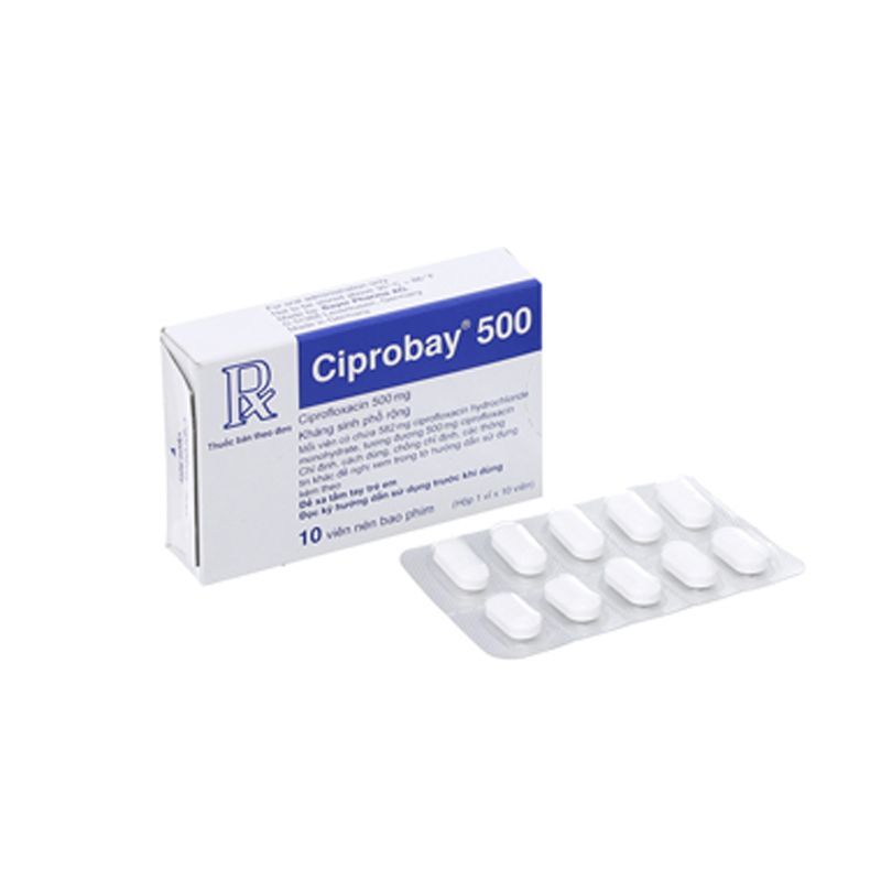 Ciprobay 500 - Thuốc điều Trị Nhiễm Khuẩn