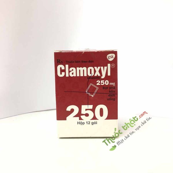 Clamoxyl 250mg - Thuốc điều Trị Nhiễm Khuẩn