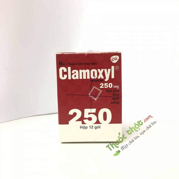 Clamoxyl 250mg - thuốc điều trị nhiễm khuẩn - Nhà Phân Phối Thuốc Thật