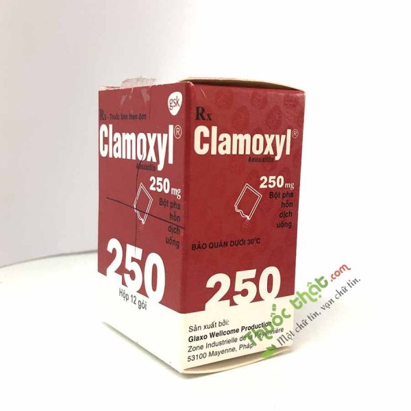 Clamoxyl 250mg